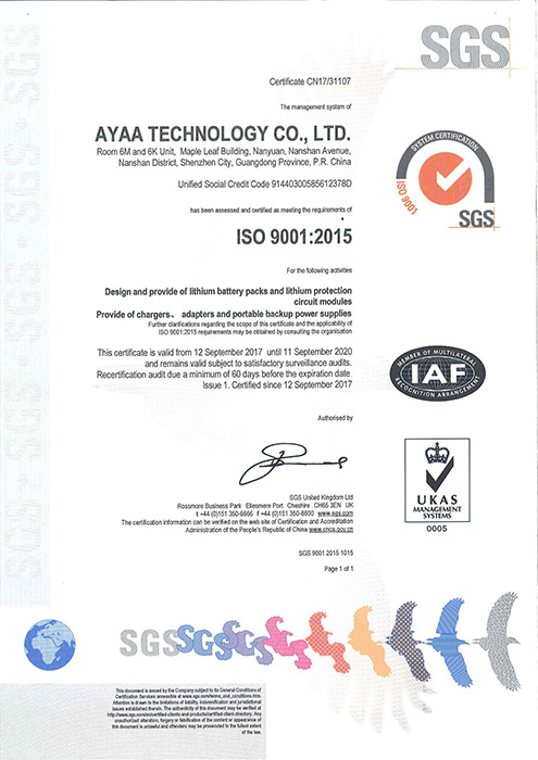 SGS CERTIFICATE - AYAA TECHNOLOGY CO., LTD